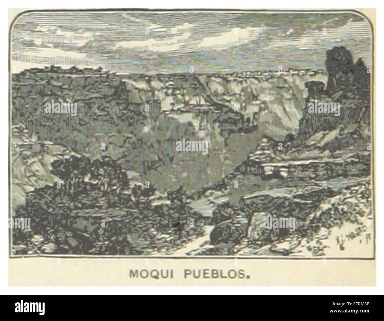 Moqui hi-res stock photography and images - Alamy