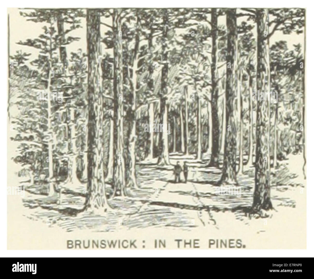 This 1891 sketch map of Brunswick, located in the Pines, offers a ...