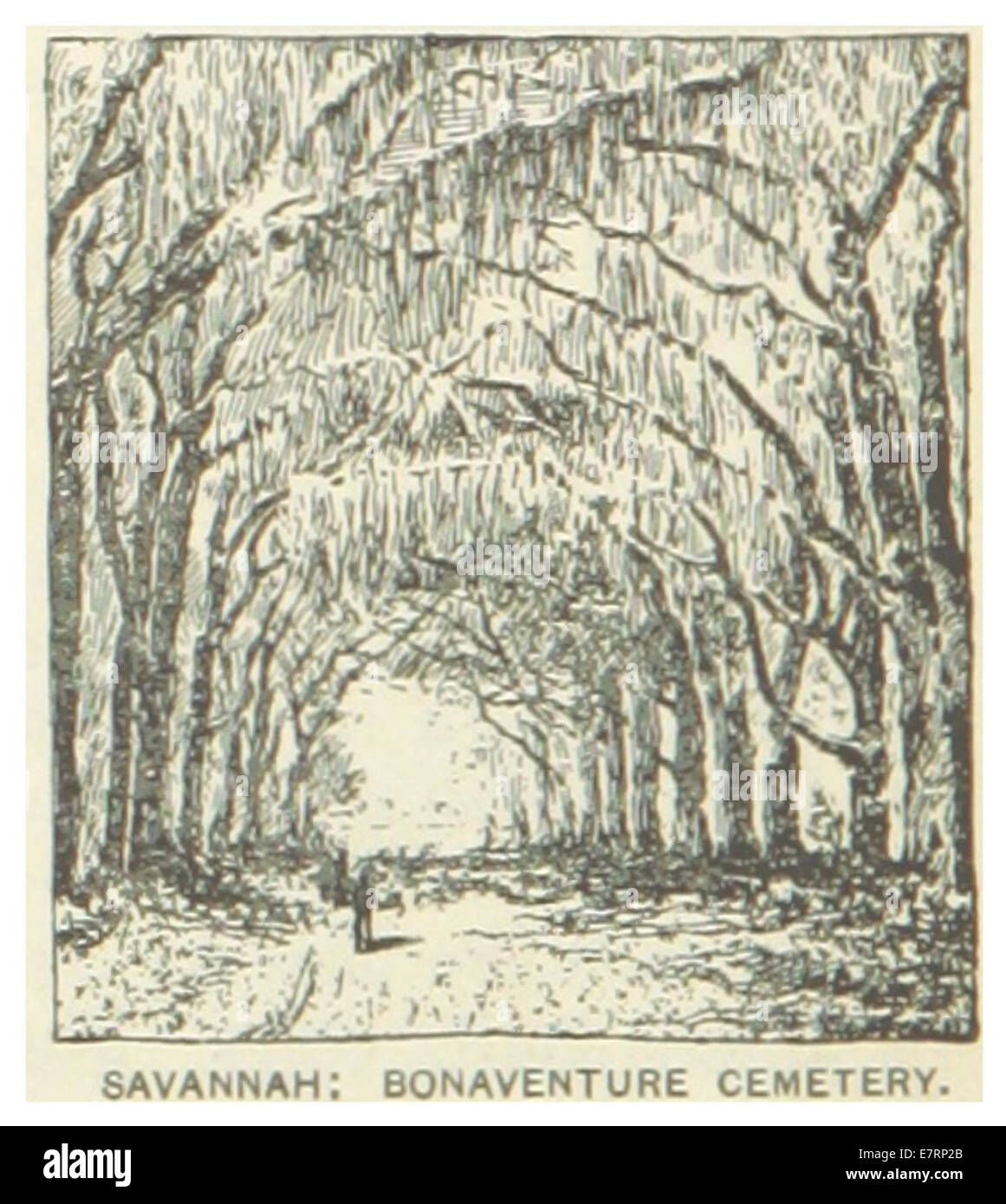 This 1891 illustration shows Bonaventure Cemetery in Savannah, Georgia ...