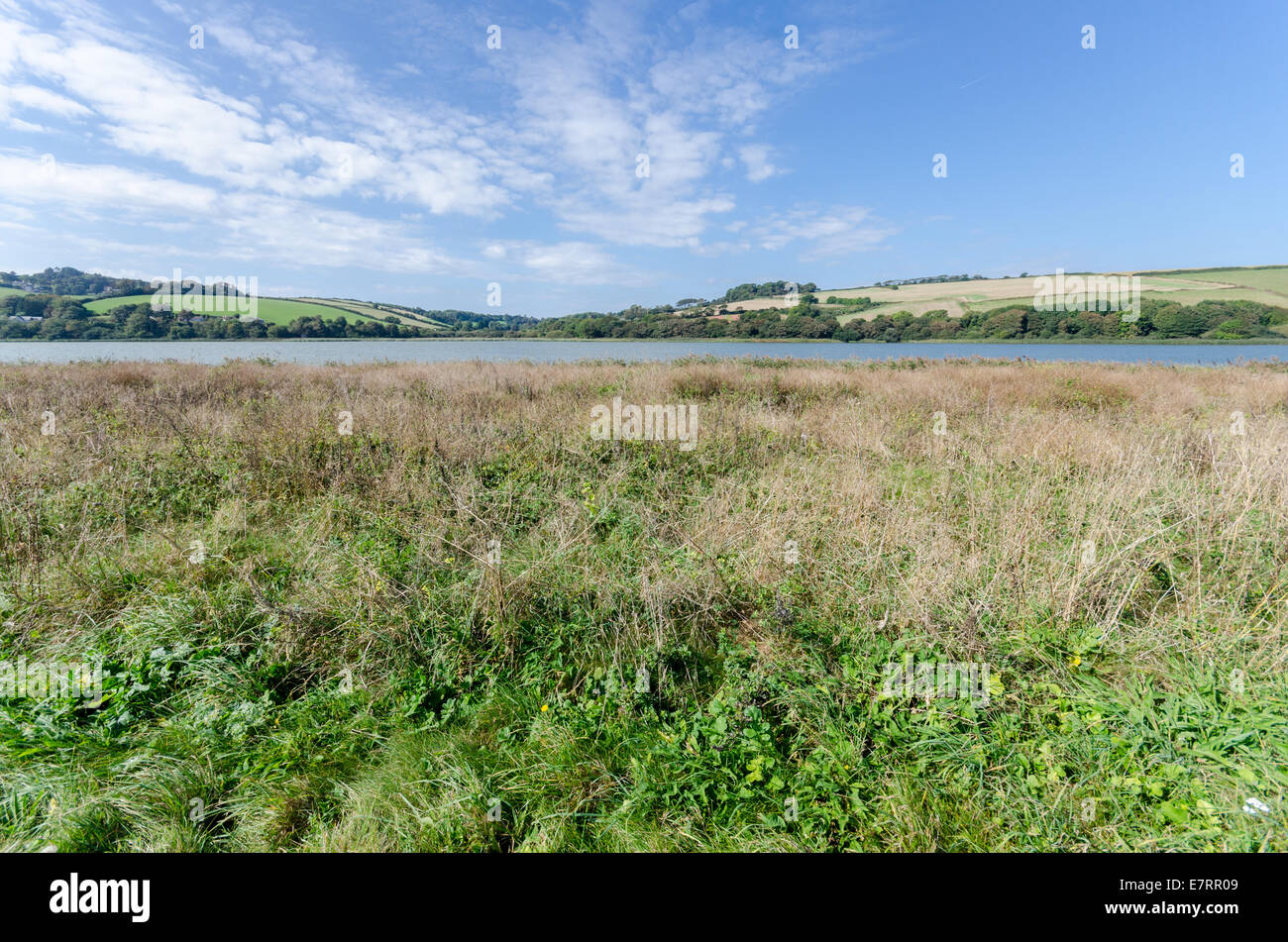 Slapton Ley Nature Reserve in South Devon Stock Photo - Alamy