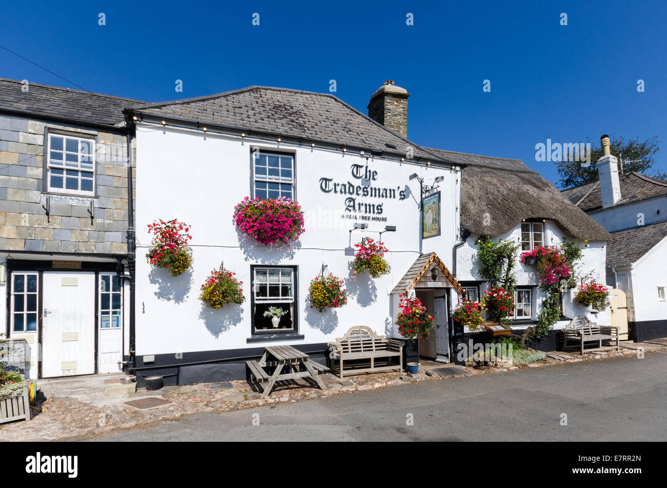 The Tradesman's Arms public house in Stokenham, South Devon Stock Photo ...