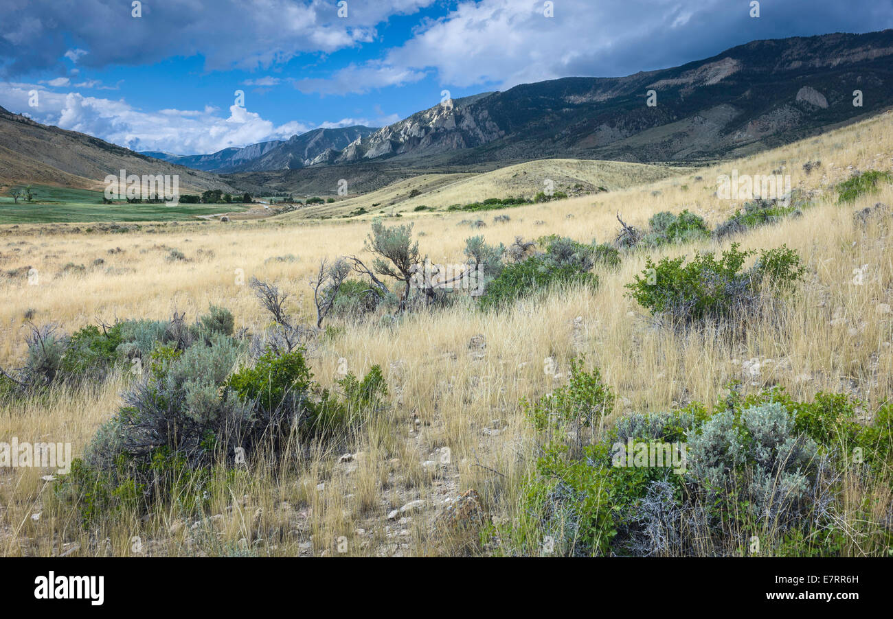View across the rugged undulating landscape of Buffalo Bill State park ...