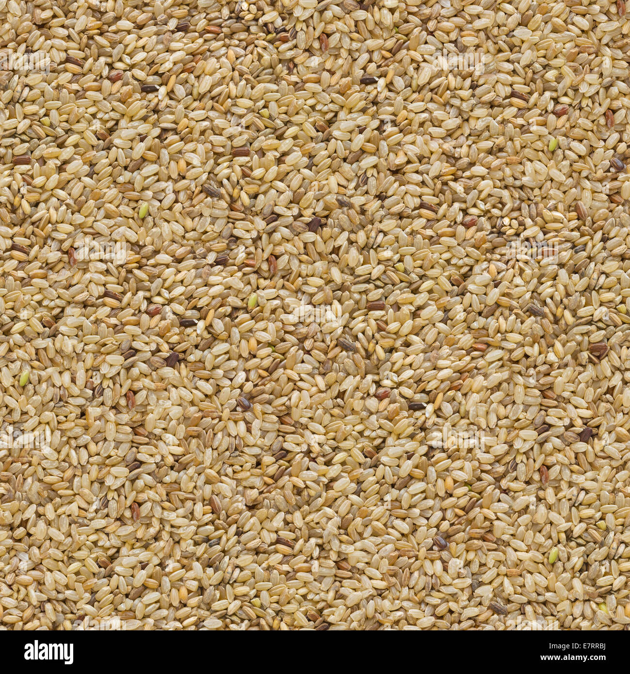 Unpolished Rice Background. Seamless Texture Stock Photo - Alamy
