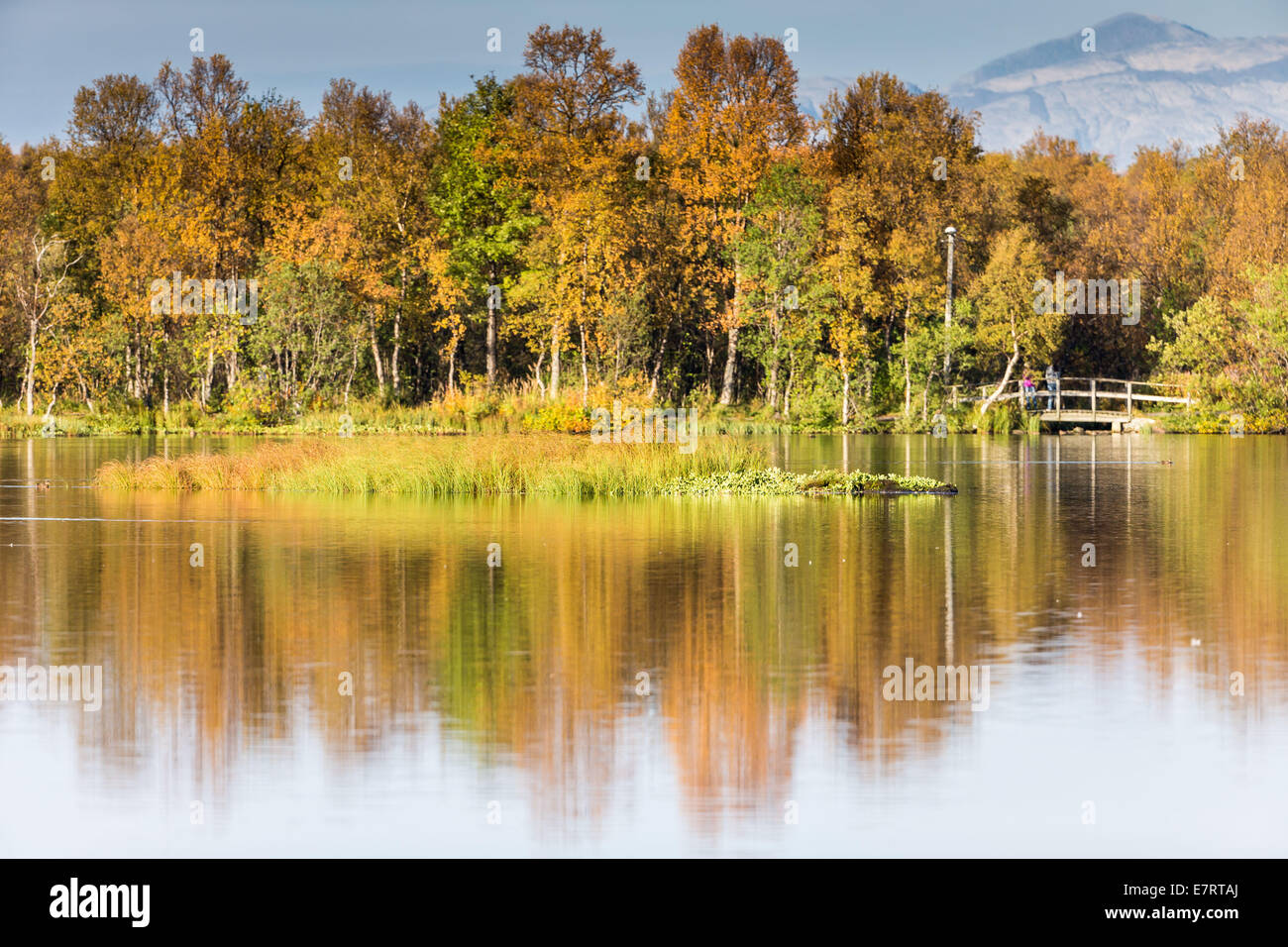 autumn at lake Prestvannet Stock Photo - Alamy