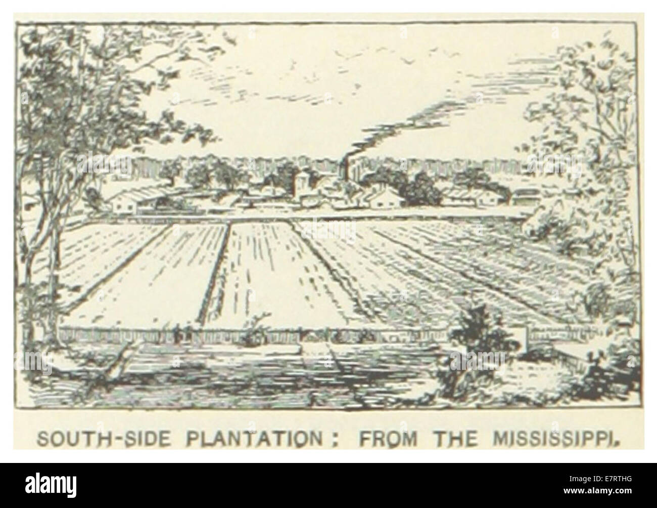 An 1891 illustration of the South-Side Plantation, located near the ...