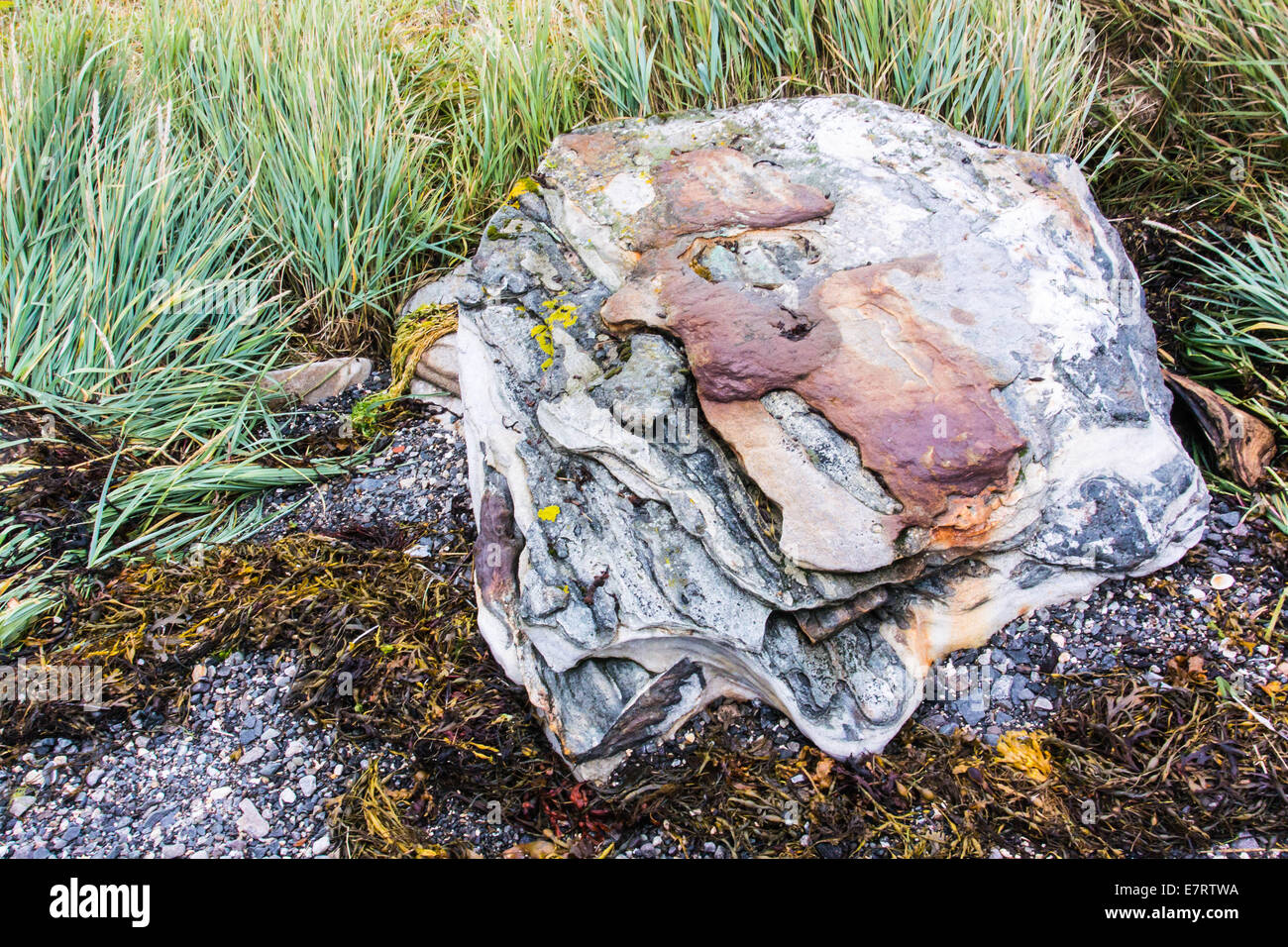 Stone On The Beach Stock Photo - Alamy