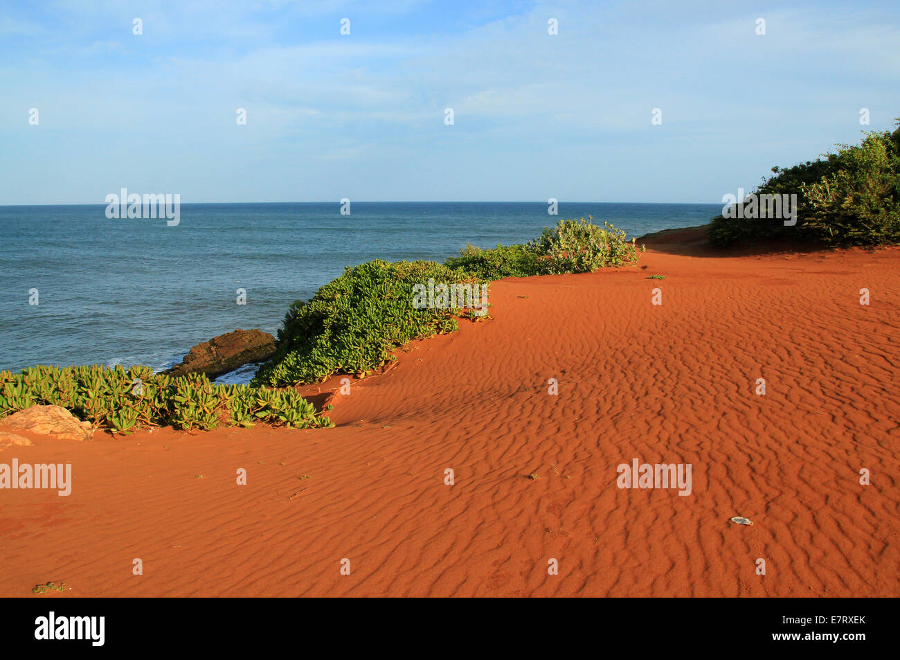 Indian Ocean Coast of Bundala National Park, Sri Lanka Stock Photo - Alamy