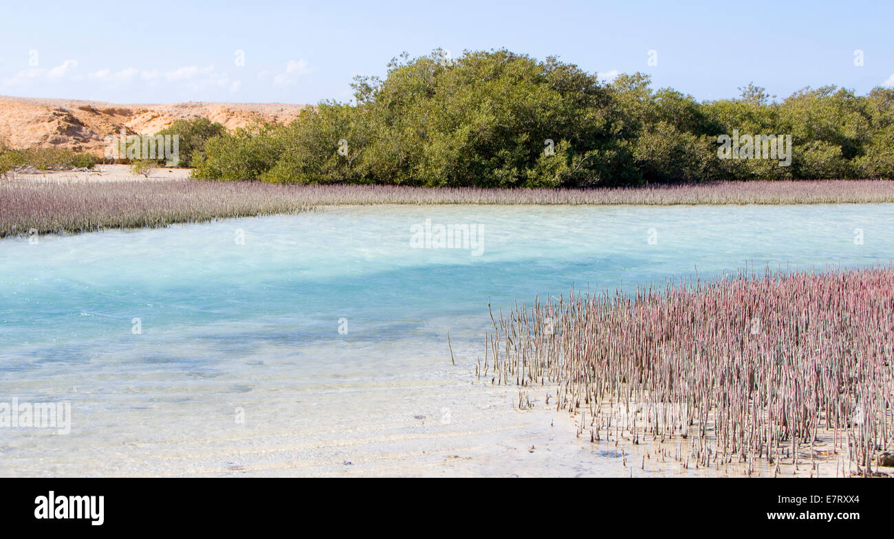 Magic lake hi-res stock photography and images - Alamy
