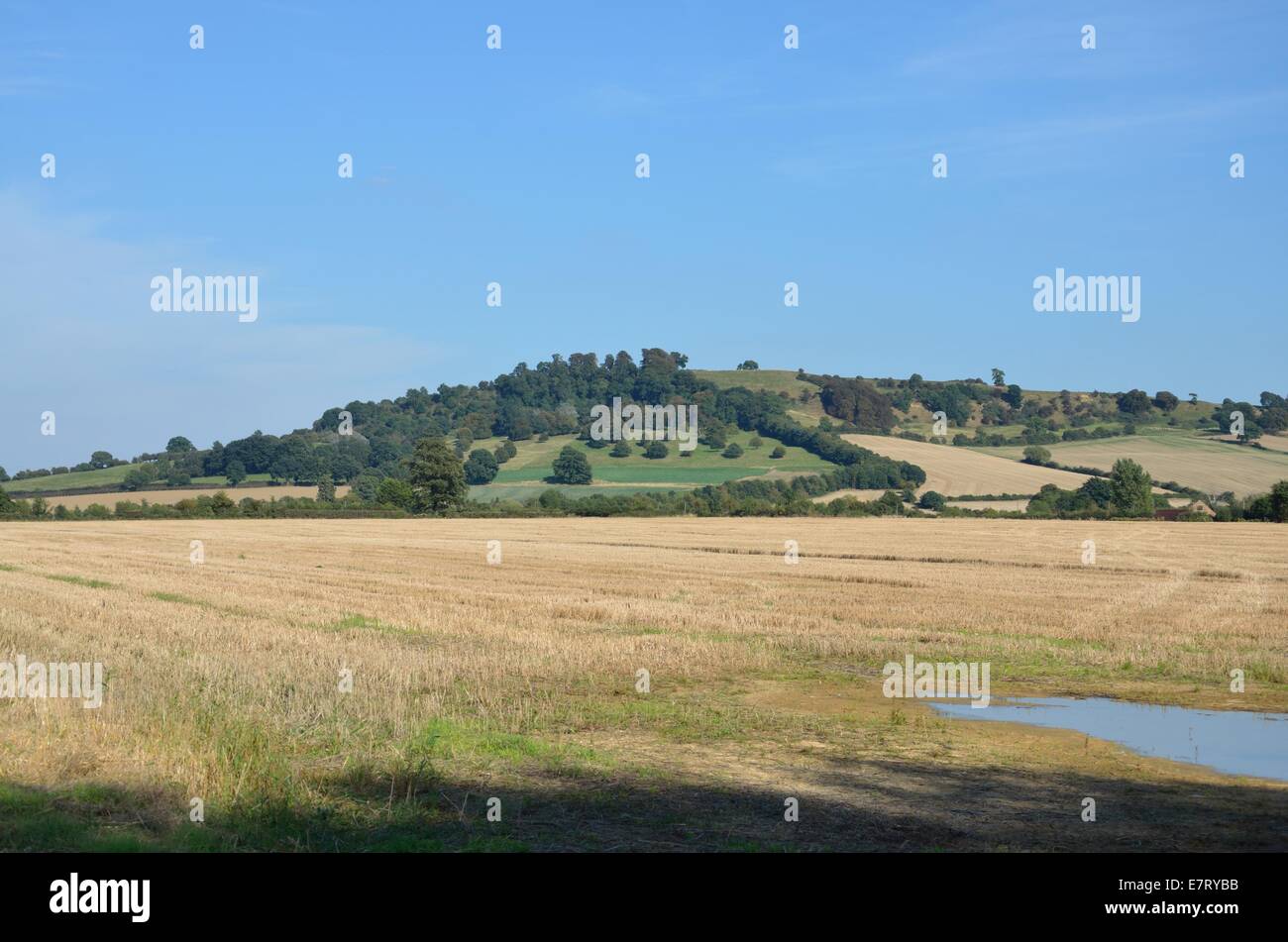Meon Hill, Warwickshire Stock Photo - Alamy