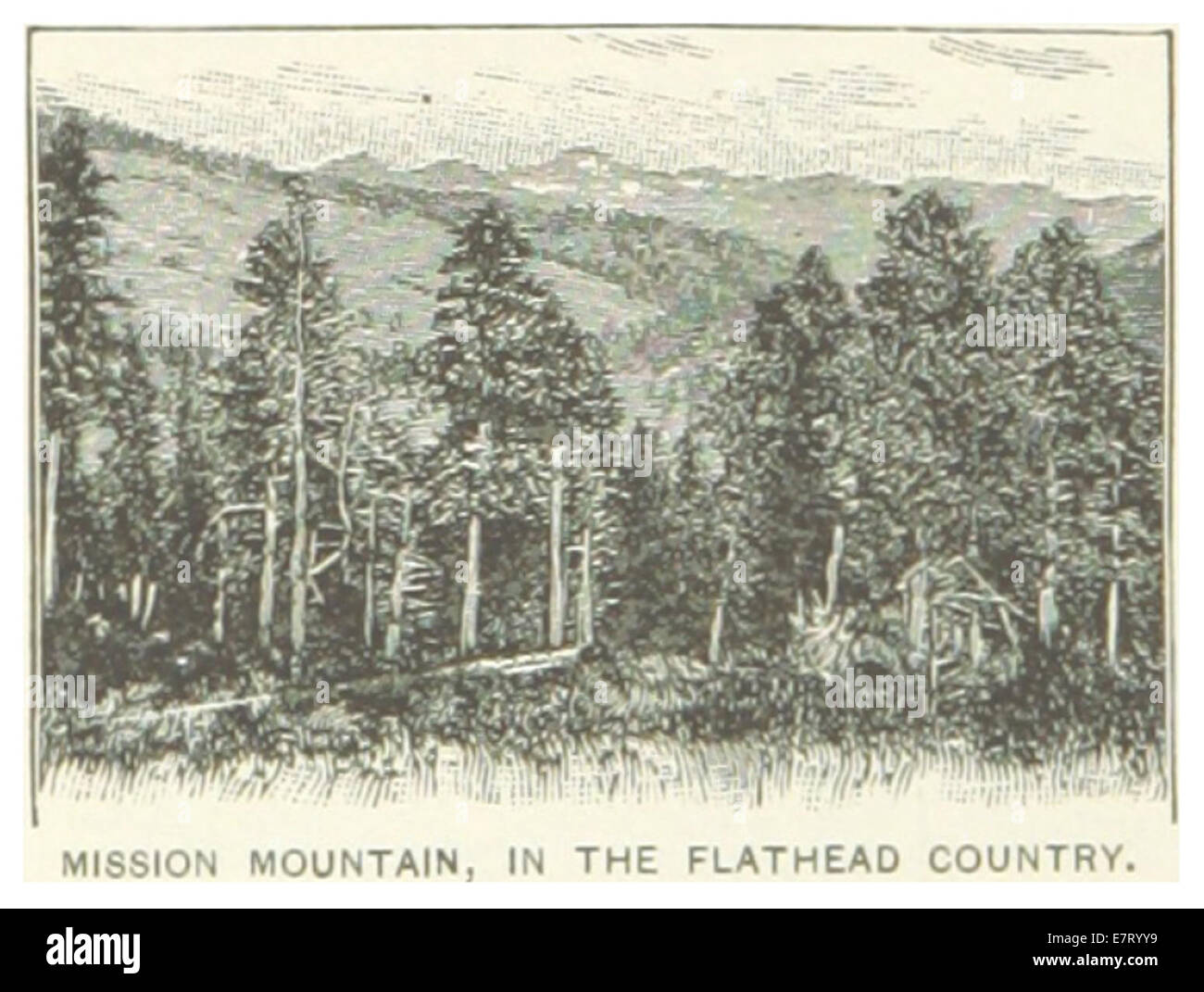 This 1891 map illustration depicts Mission Mountain in the Flathead ...
