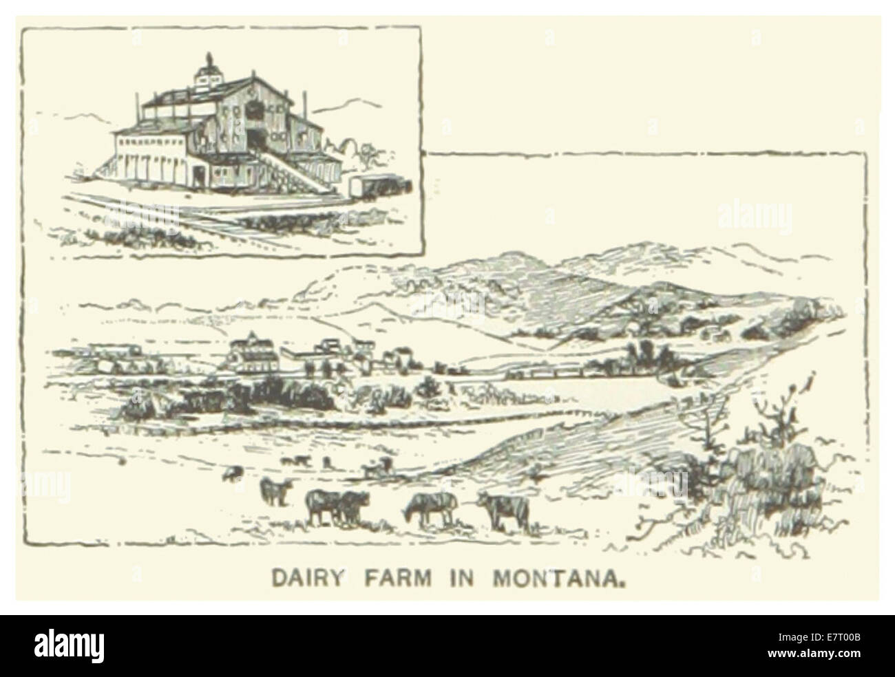 This 1891 illustration shows a dairy farm in Montana, capturing the ...