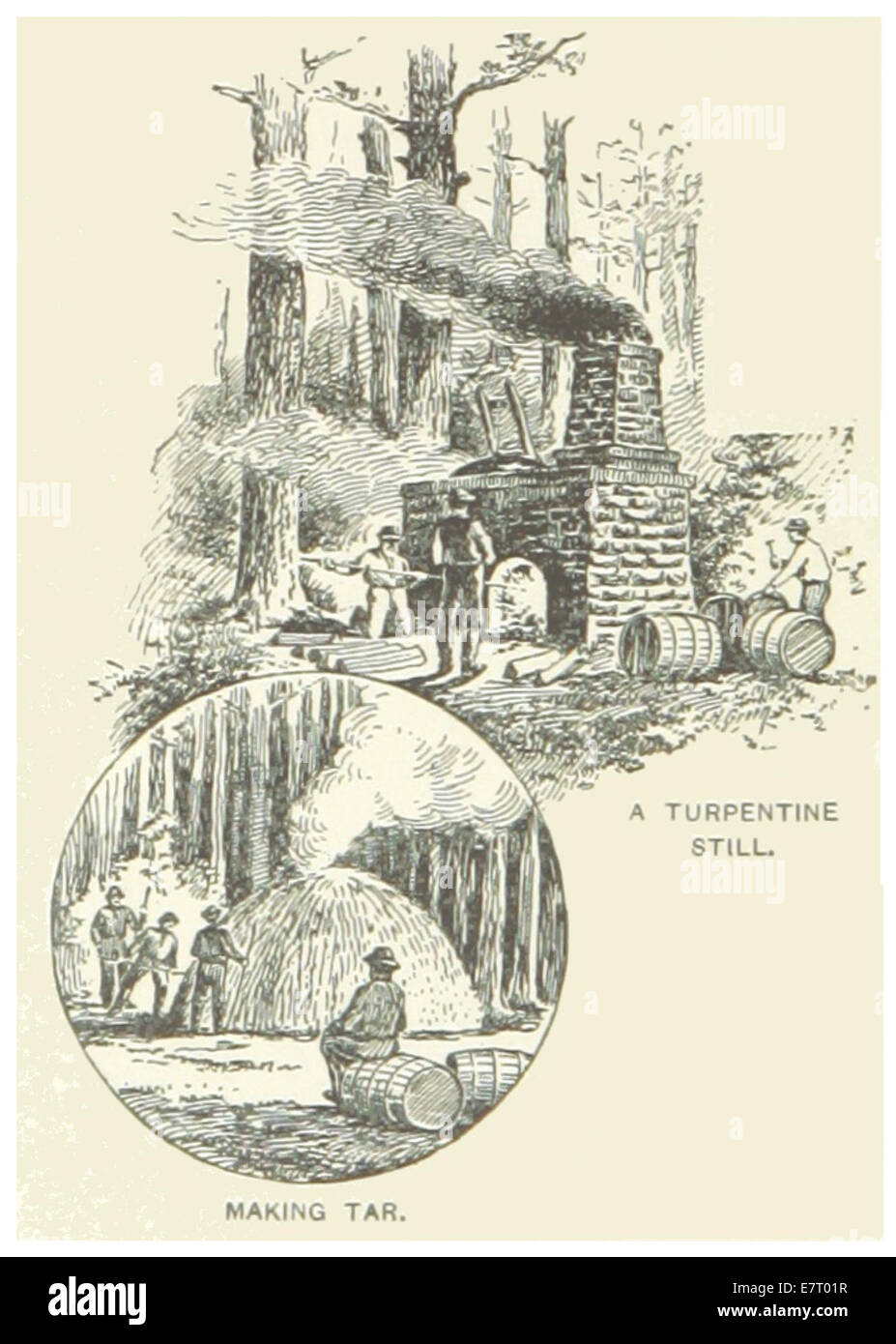 An 1891 illustration depicting the process of making tar and turpentine ...