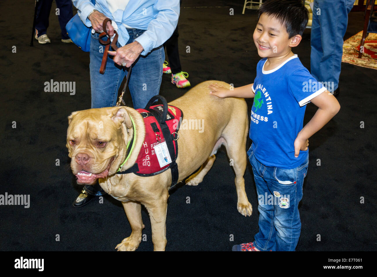 Miami Beach Florida,service dog dogs,Asian Asians ethnic immigrant ...