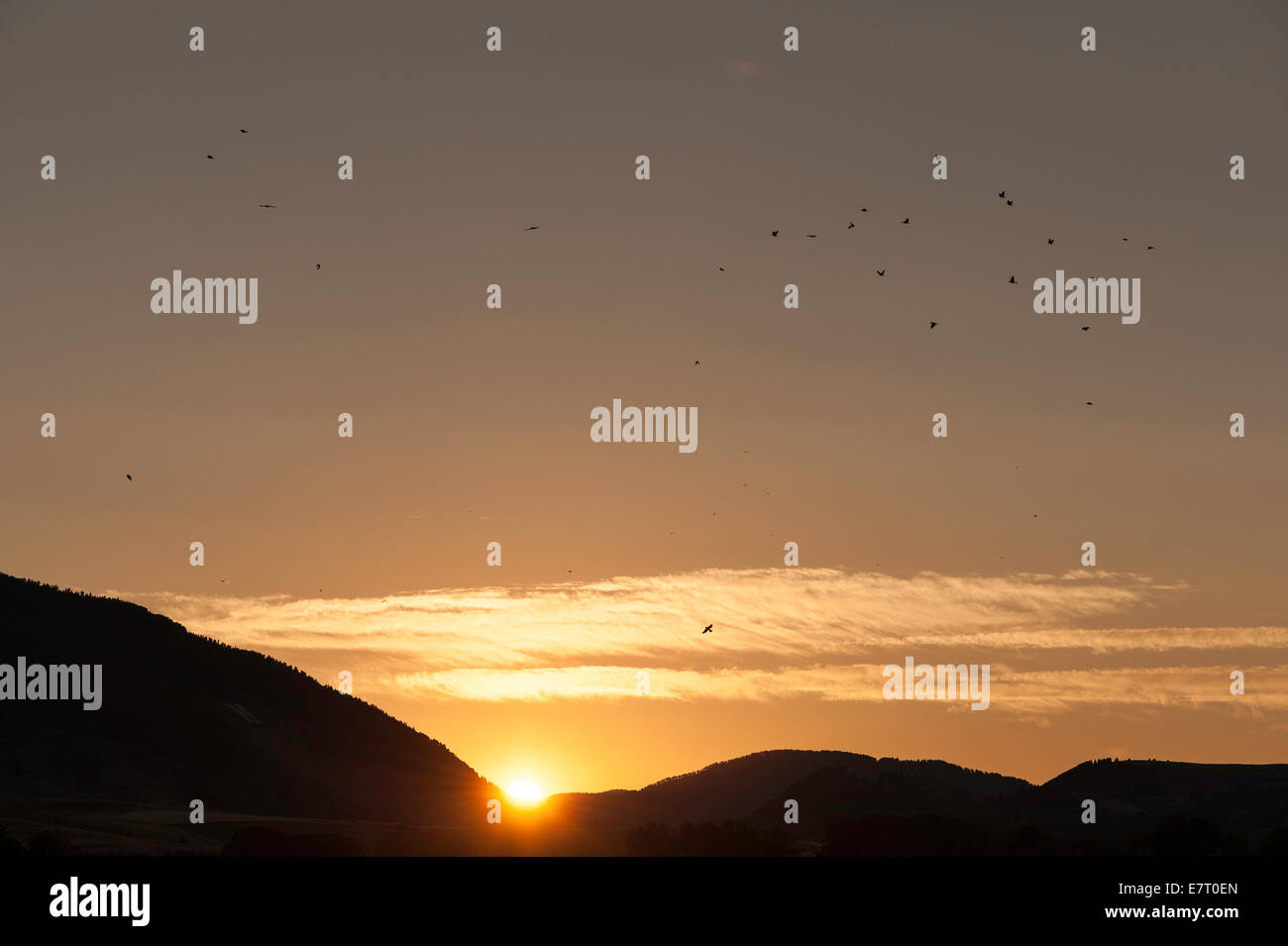 Birds and landscape conservation hi-res stock photography and images ...
