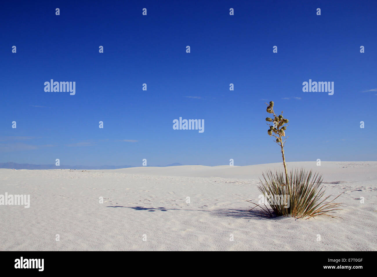 White Sands National Monument, New Mexico, USA Stock Photo - Alamy