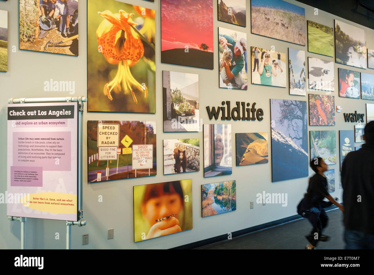 Los Angeles California,Downtown,LA,California Science Center ...