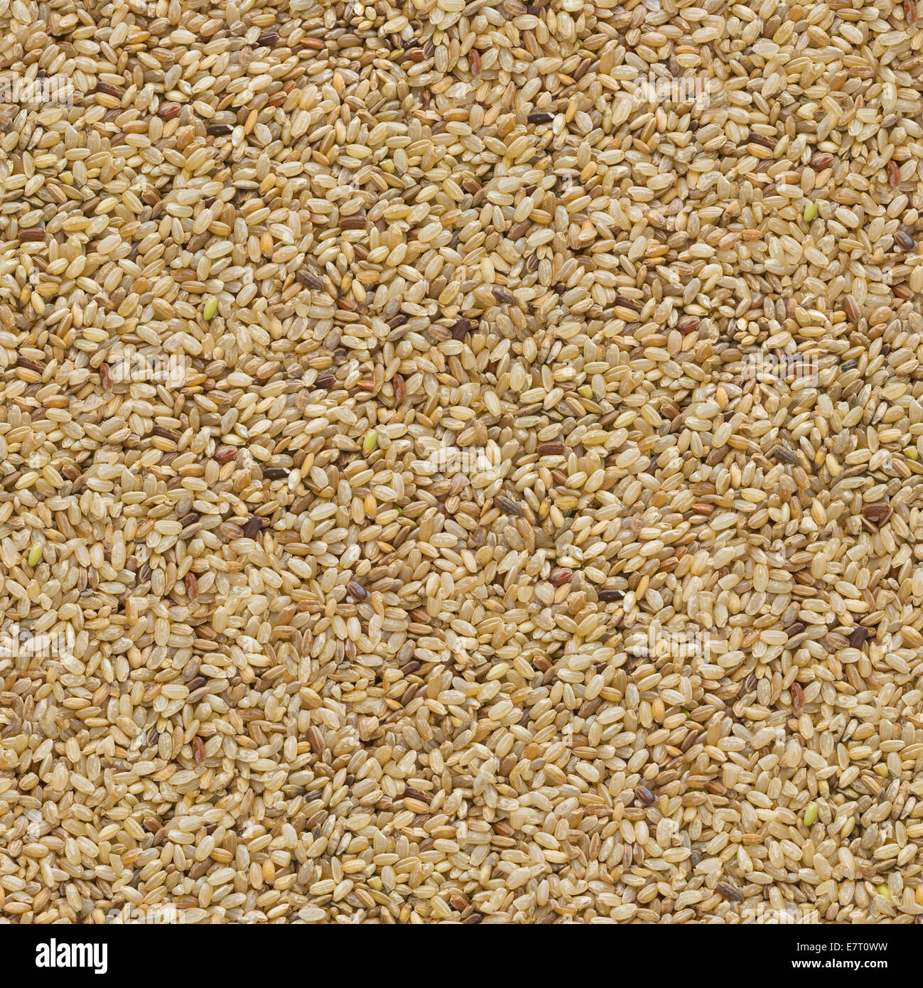 Unpolished Rice Background. Seamless Texture Stock Photo - Alamy