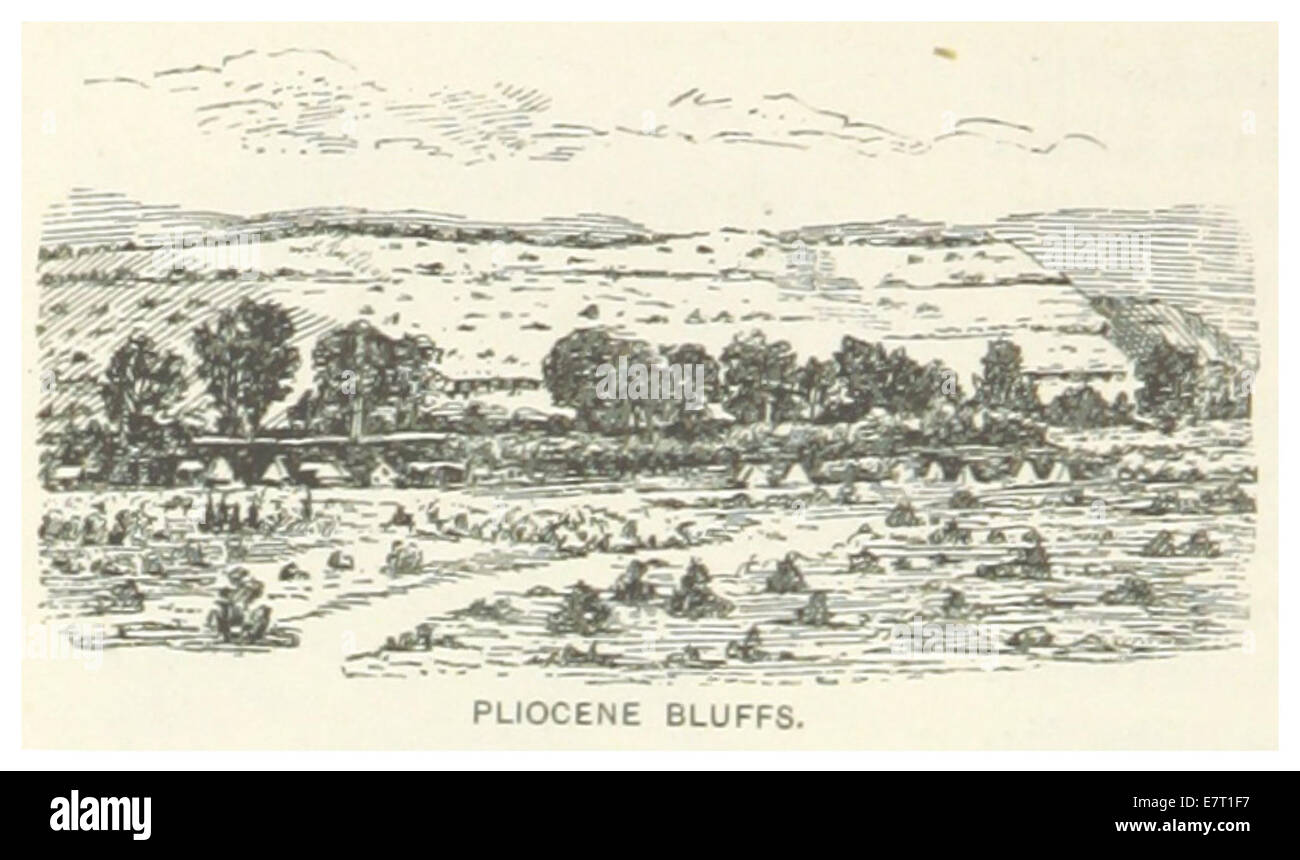 Pliocene hi-res stock photography and images - Alamy