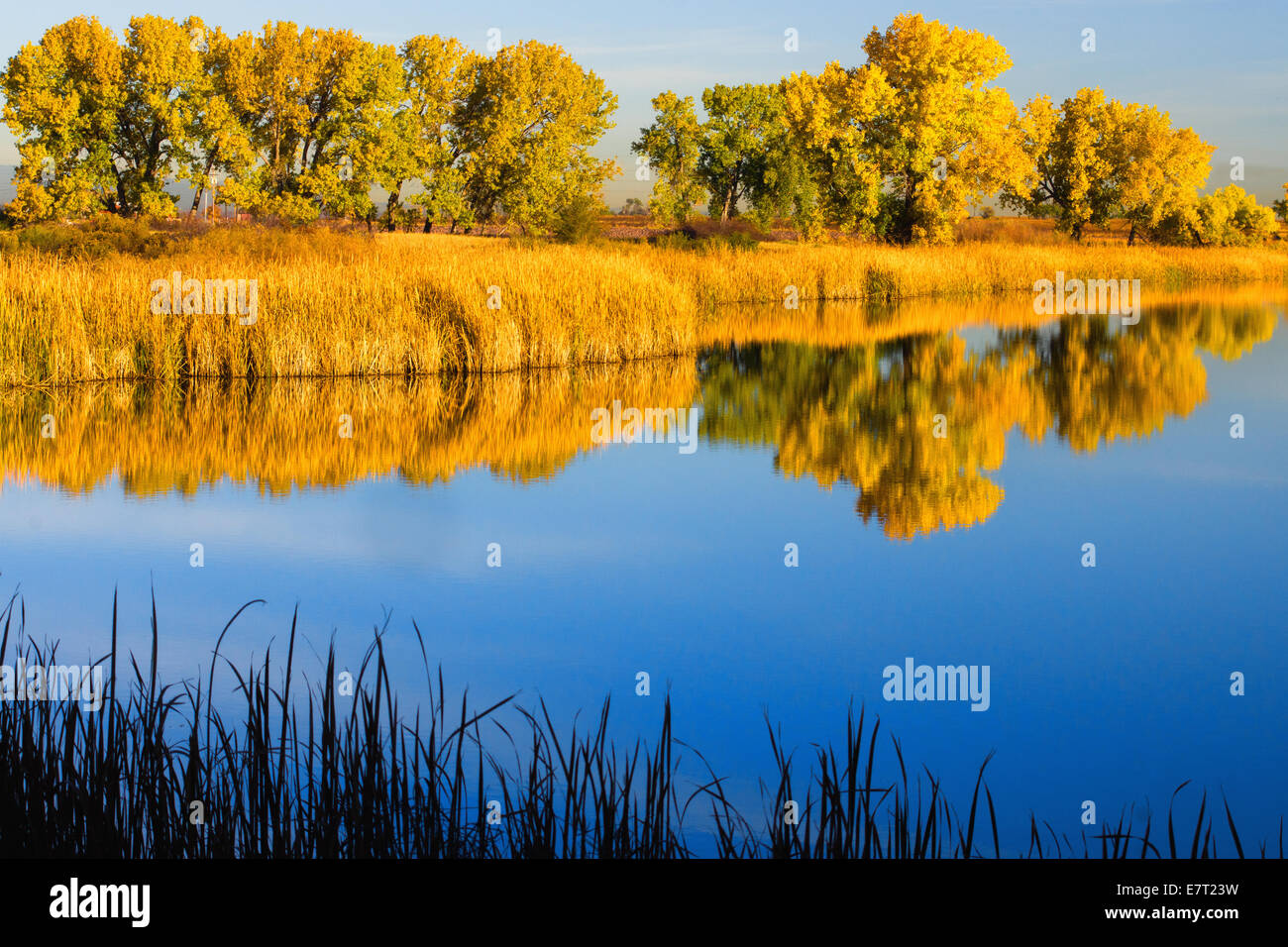 Lake Ladora in Denver, Colorado shows off its reflections and brilliant ...