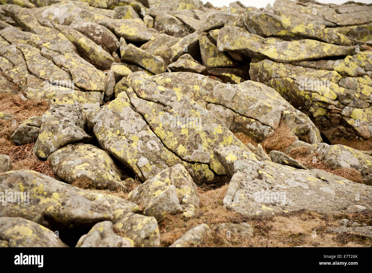 Slab of rocks hi-res stock photography and images - Alamy