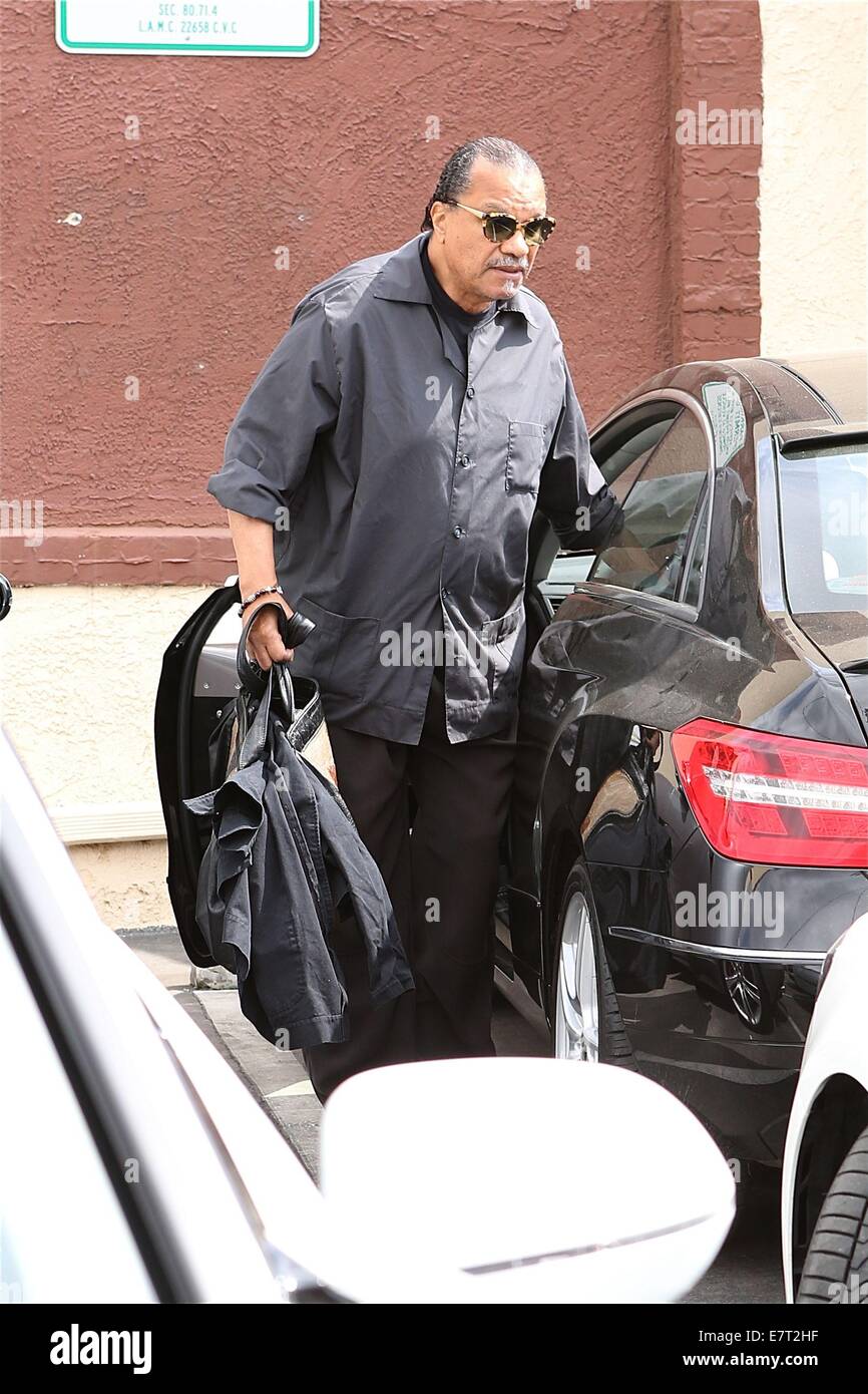 Billy Dee Williams 2014