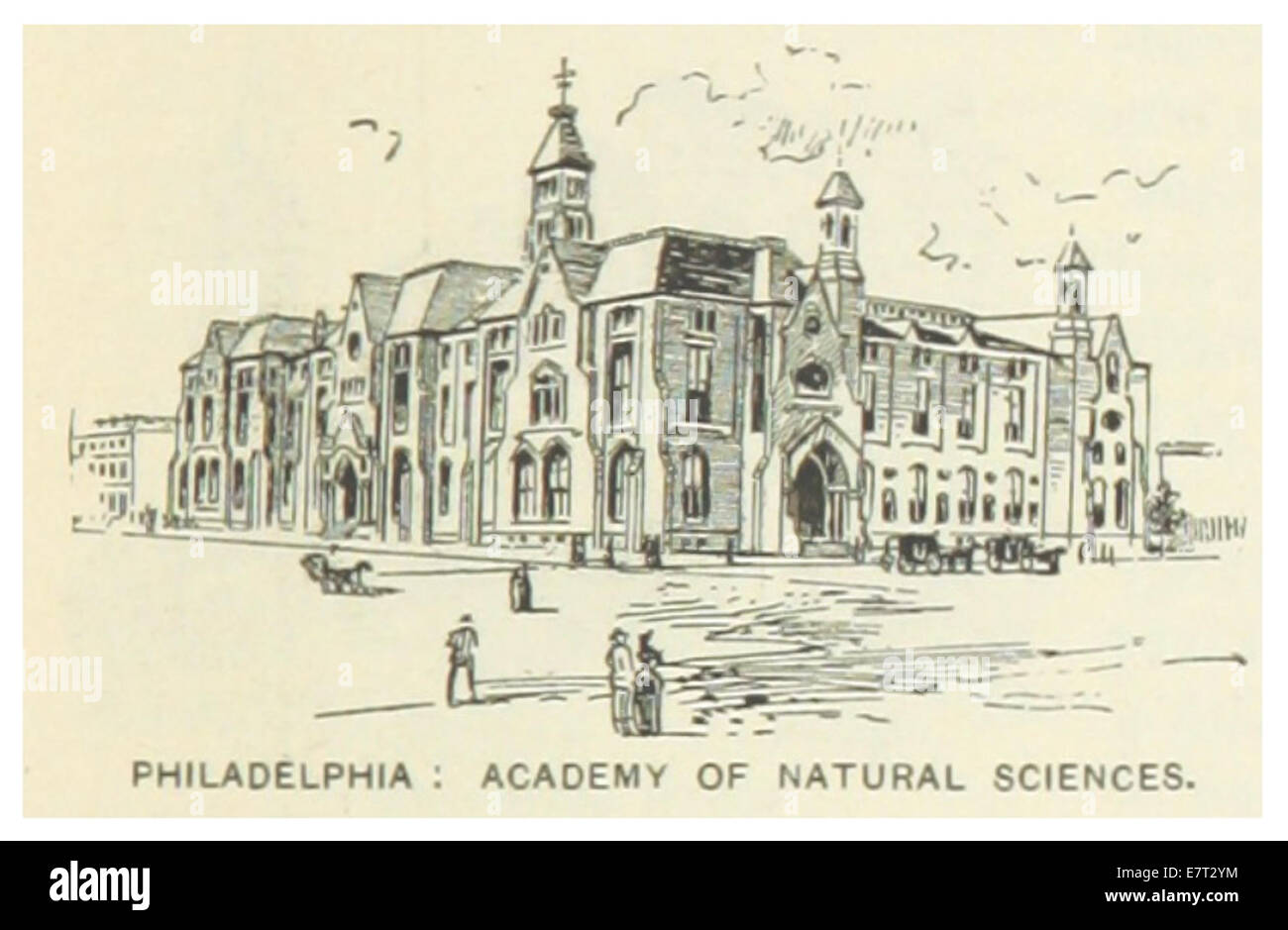 Natural sciences history hi-res stock photography and images - Alamy