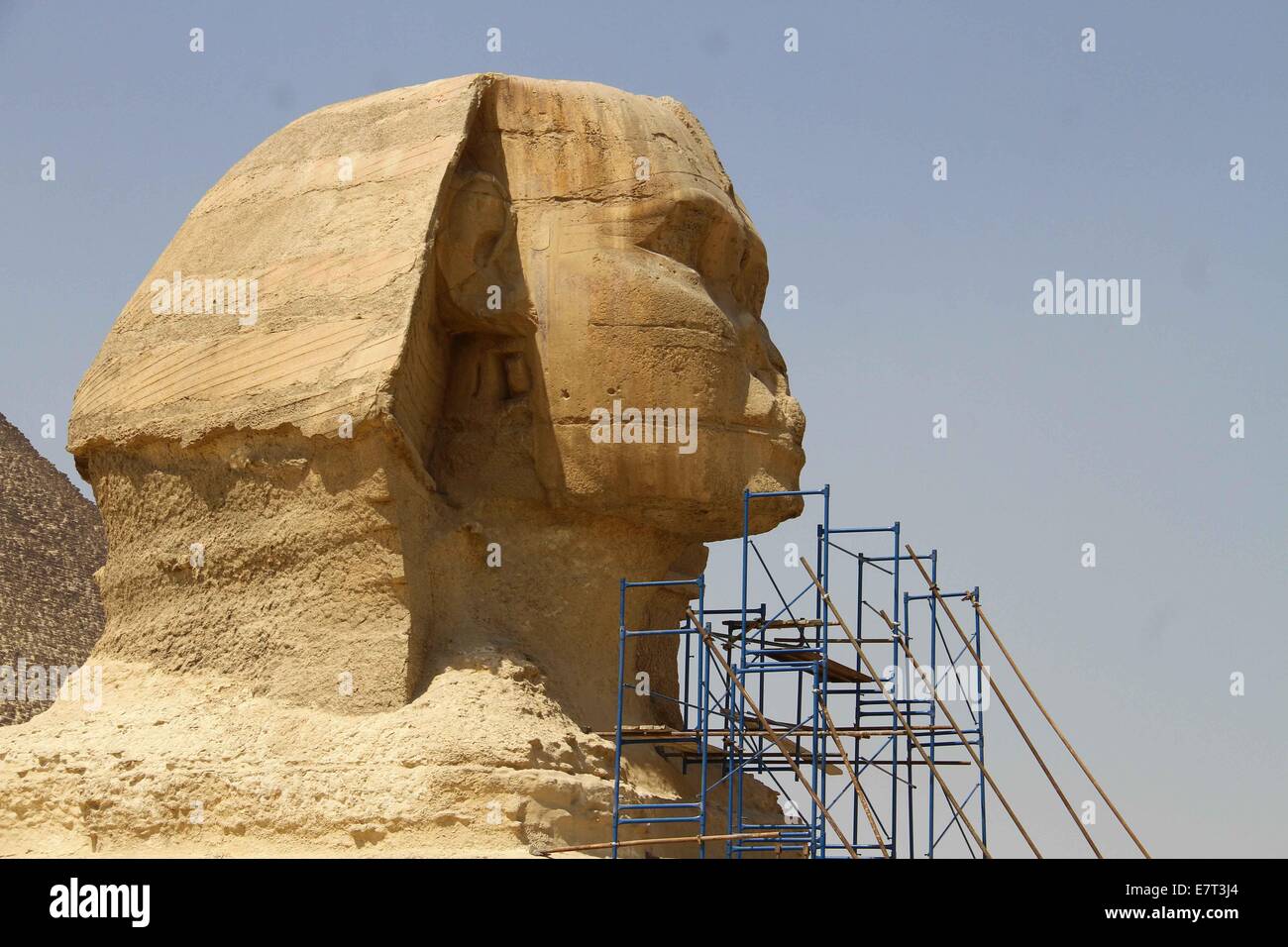 Cairo, Egypt. 21st Sep, 2014. The Great Sphinx undergoes a large ...