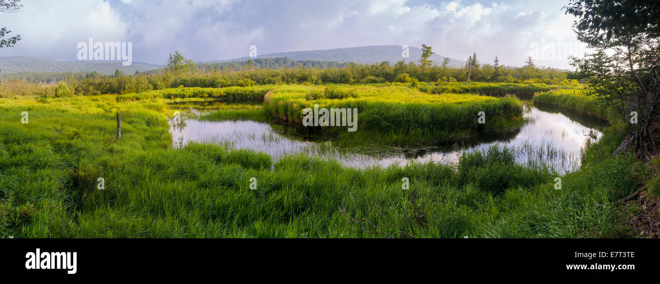Blackwater River, Canaan Valley, West Virginia, WV Stock Photo - Alamy