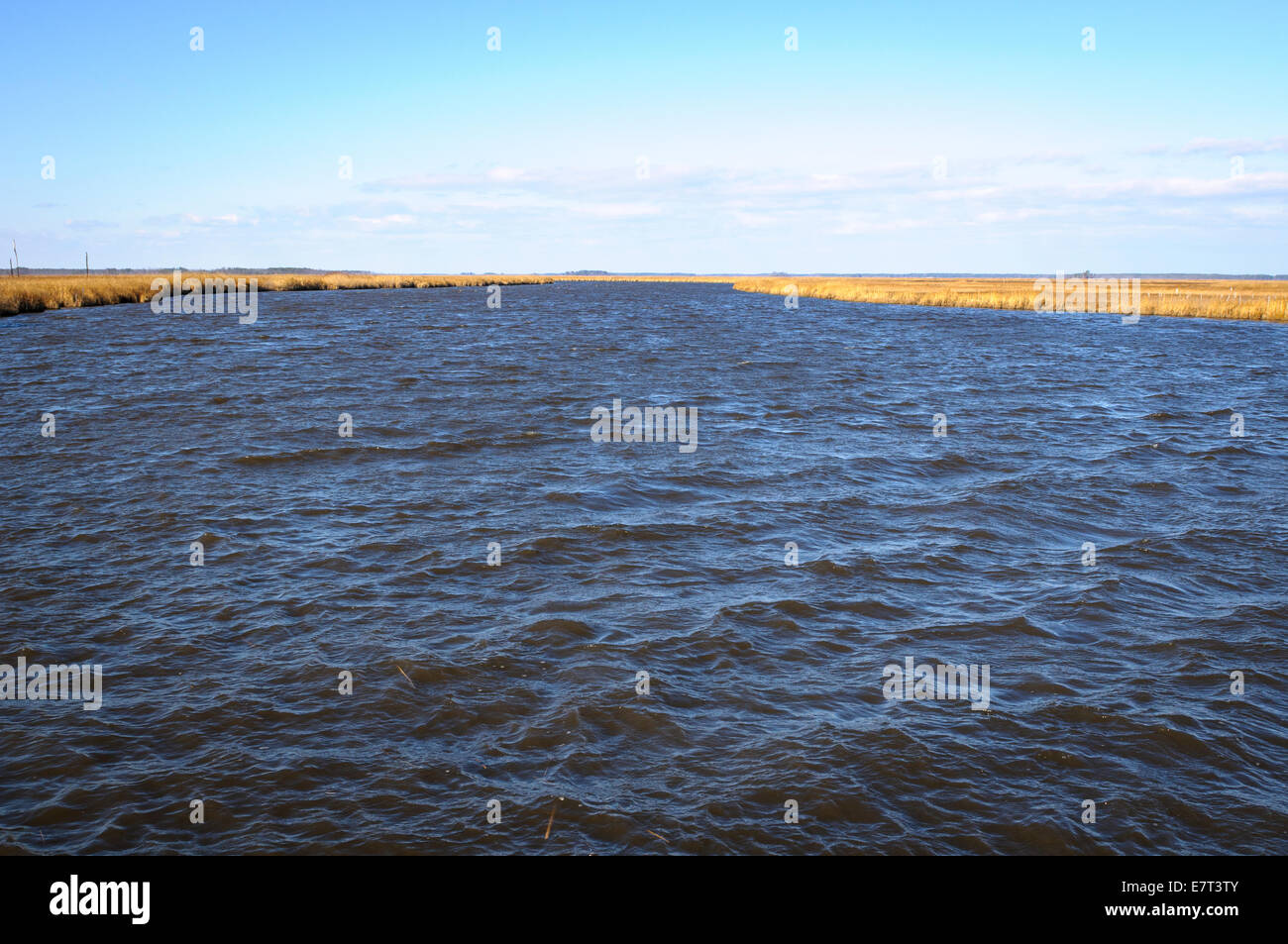 Blackwater River, Cambridge, Maryland Stock Photo - Alamy