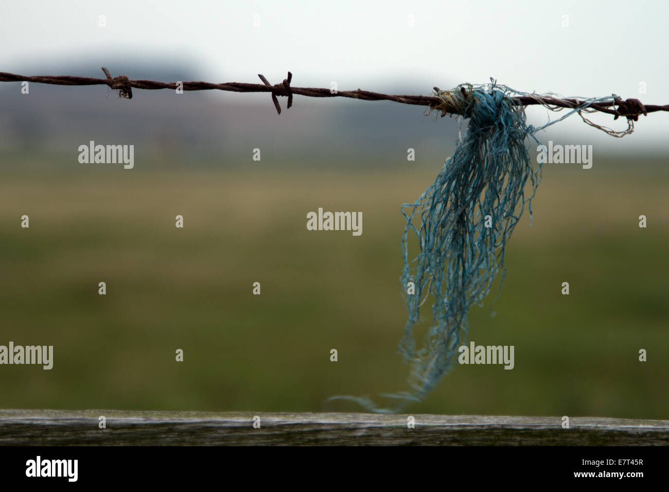 Hung up on you hi-res stock photography and images - Alamy