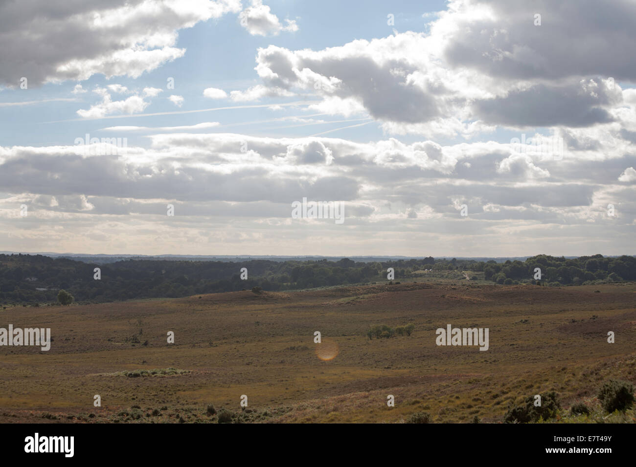 View across sandy heathland Hampton Ridge between Fritham and Frogham ...