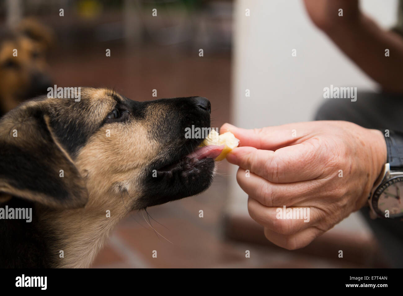 Receiving individual hi-res stock photography and images - Alamy