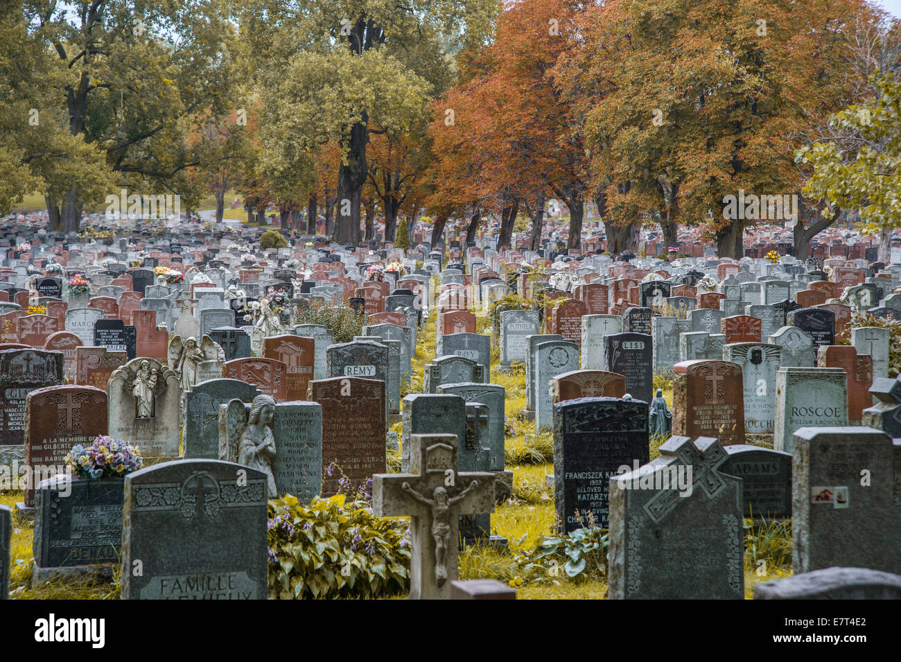 Hundreds of tombstones on a graveyard in Fall Stock Photo - Alamy