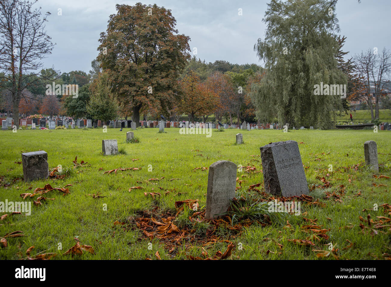 Tombstones on a graveyard in Fall Stock Photo - Alamy