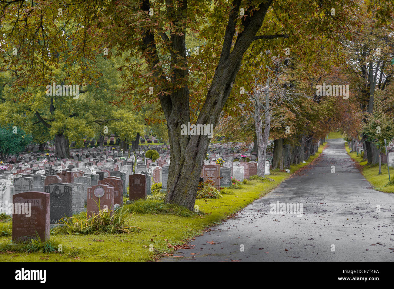 Hundreds of tombstones on a graveyard in Fall Stock Photo - Alamy