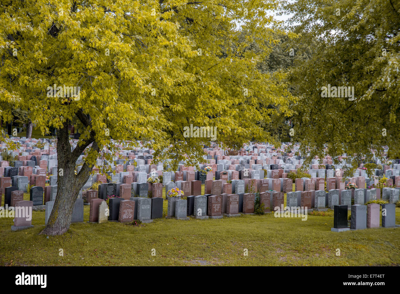 Montreal cemetary hi-res stock photography and images - Alamy