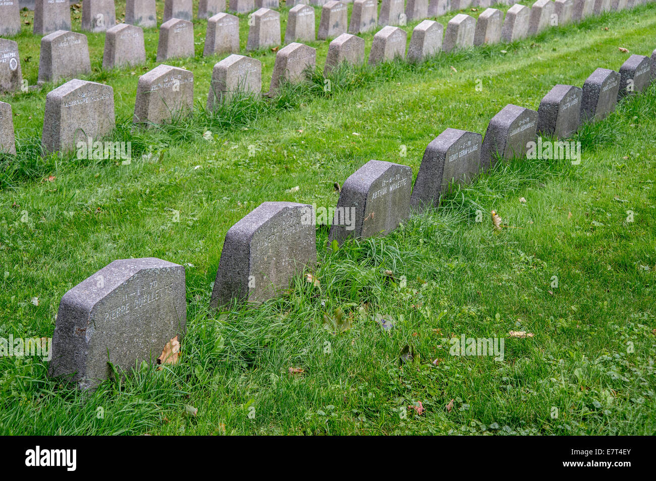 Rows of tombstones in a canadian cemetary Stock Photo - Alamy