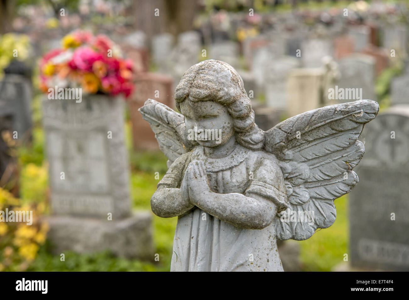 Praying angel statue hi-res stock photography and images - Alamy
