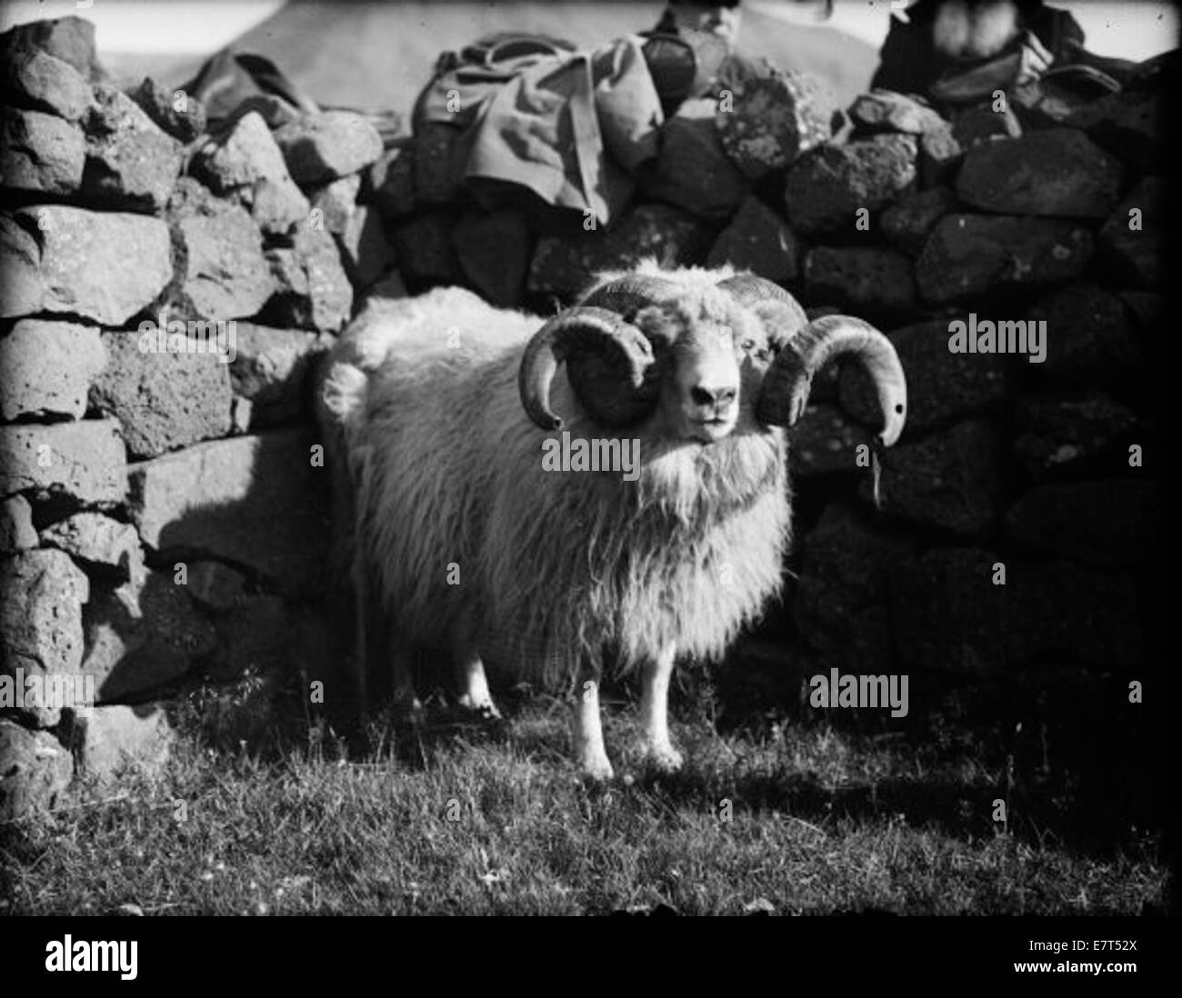 Farming in 1920s Black and White Stock Photos & Images - Alamy