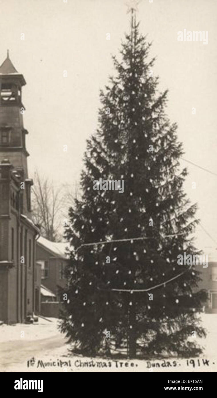 A photograph showing the first municipal Christmas tree in Dundas, a ...