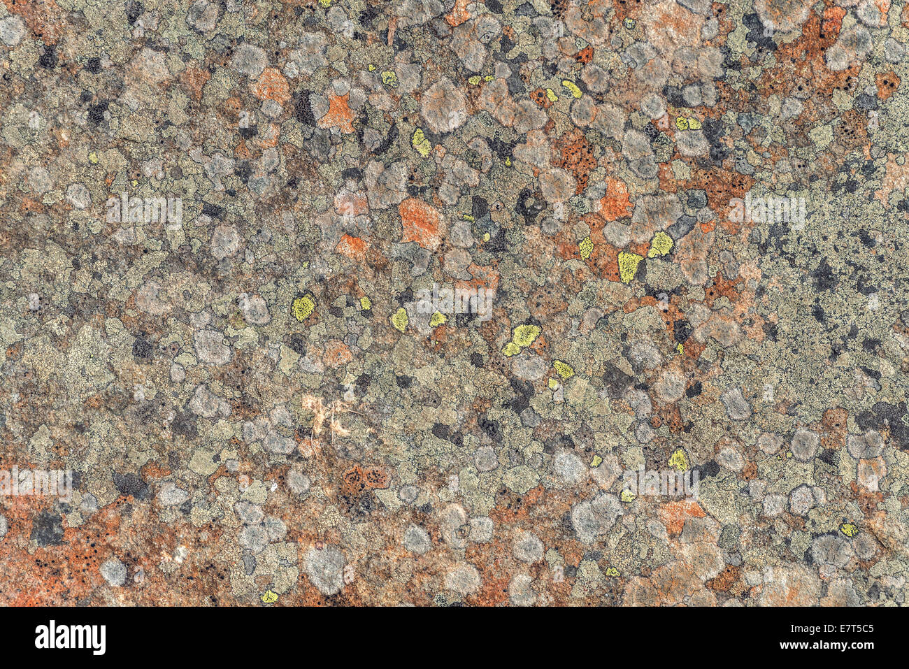 rusty stone texture close up Stock Photo - Alamy