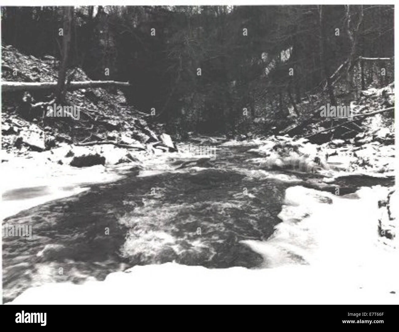 A photograph of Webster’s Ravine, showcasing the natural features of ...
