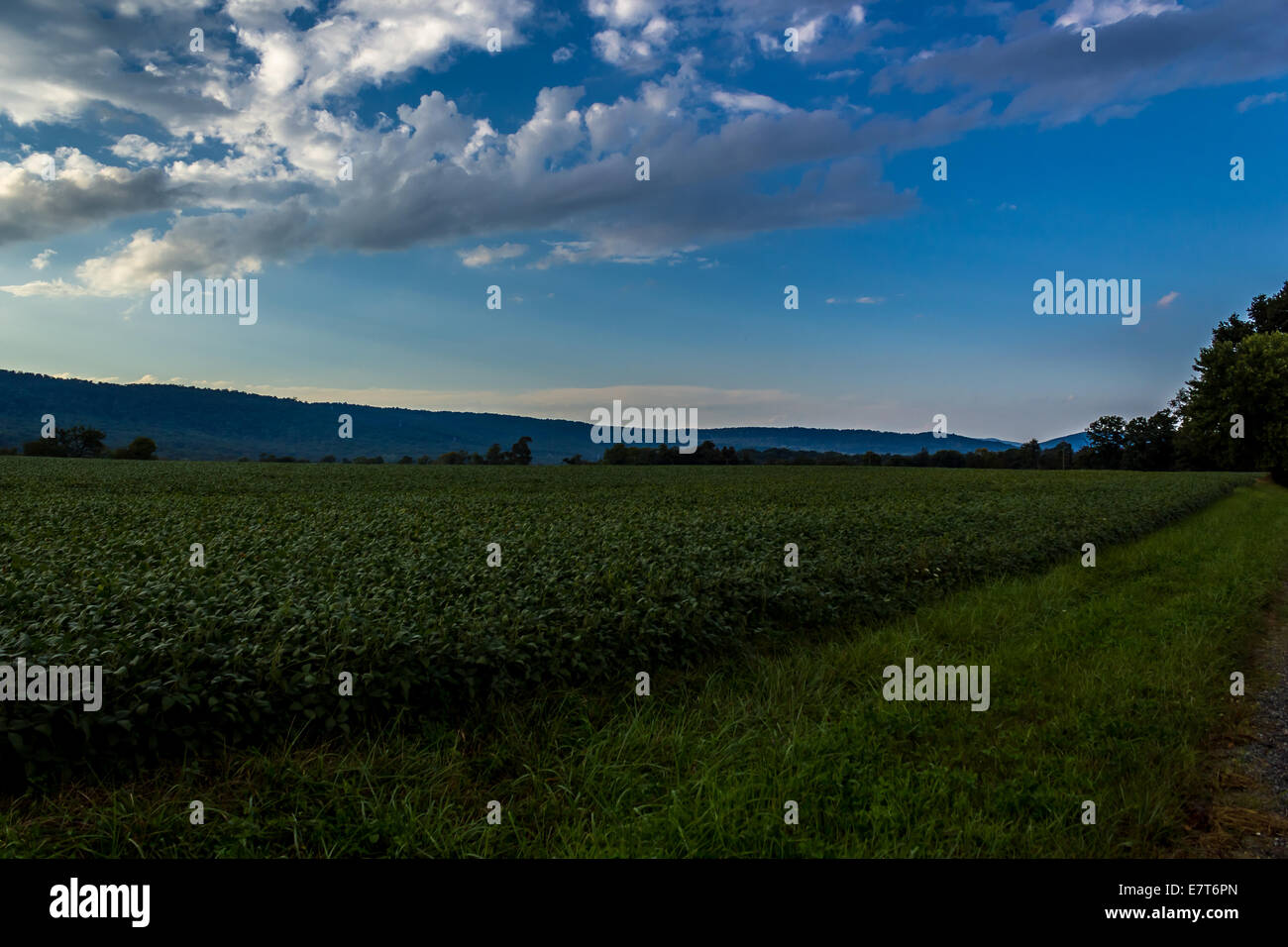 Blue ridge farm hi-res stock photography and images - Alamy