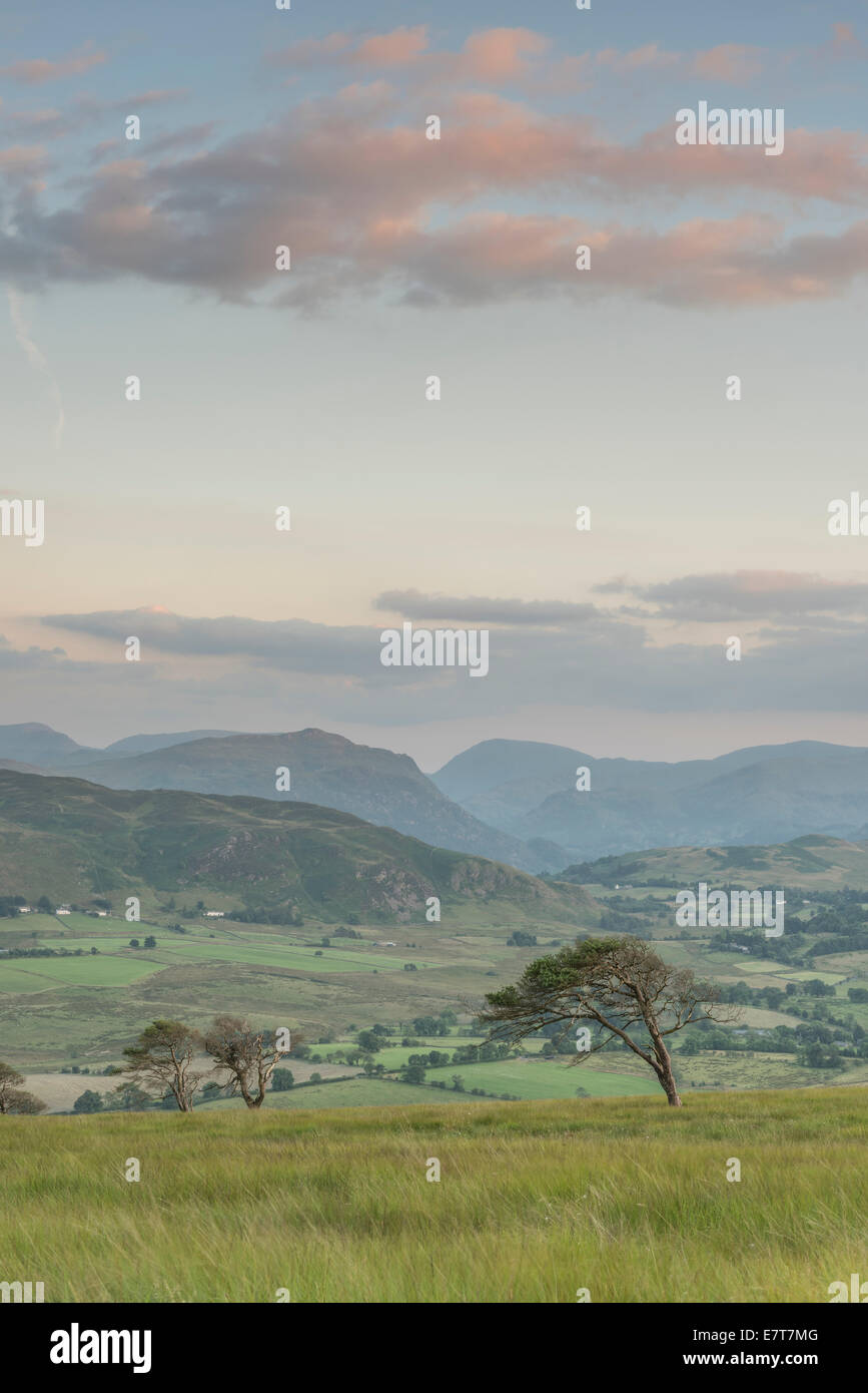 Trees on Great Mell Fell, English Lake District national park Stock ...