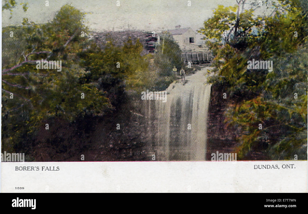 Stem or root borers hi-res stock photography and images - Alamy