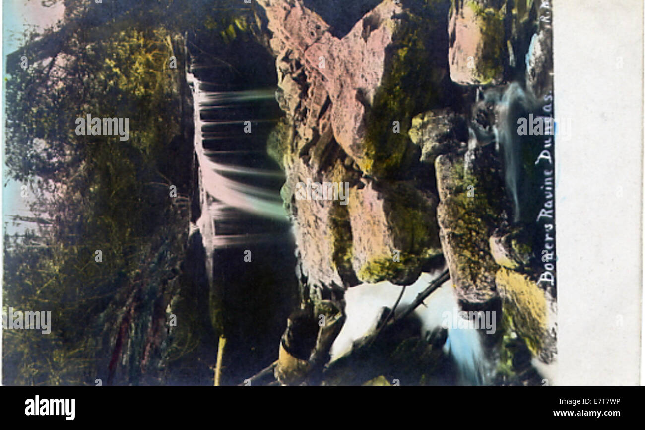 Stem or root borers hi-res stock photography and images - Alamy