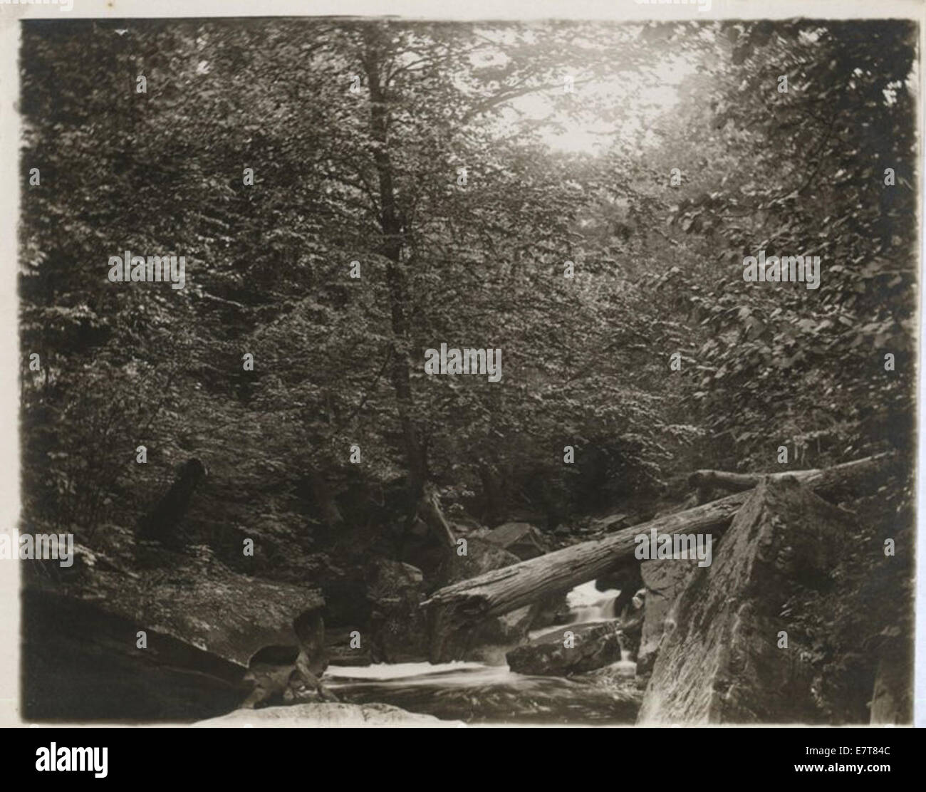 A photograph of Fisher's Ravine, a natural feature in the United States ...