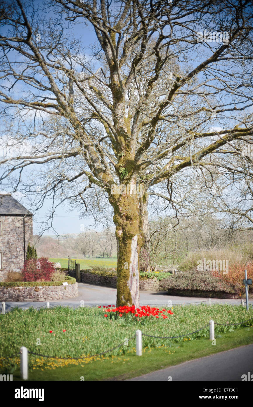 Peaceful countryside art hi-res stock photography and images - Alamy