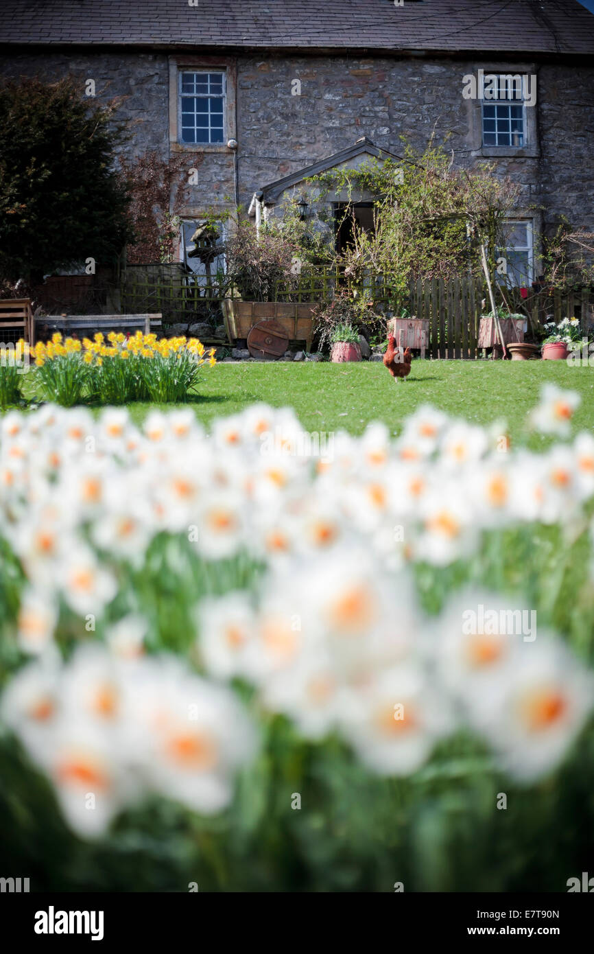 Peaceful countryside art hi-res stock photography and images - Alamy