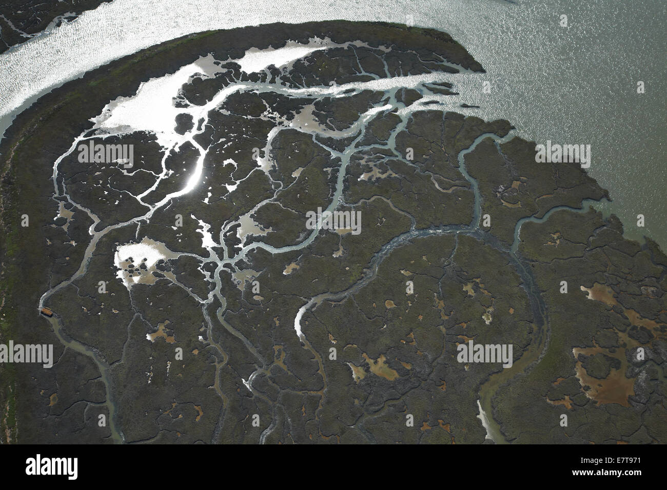 Westpoint Slough & Greco Island, Don Edwards San Francisco Bay National ...